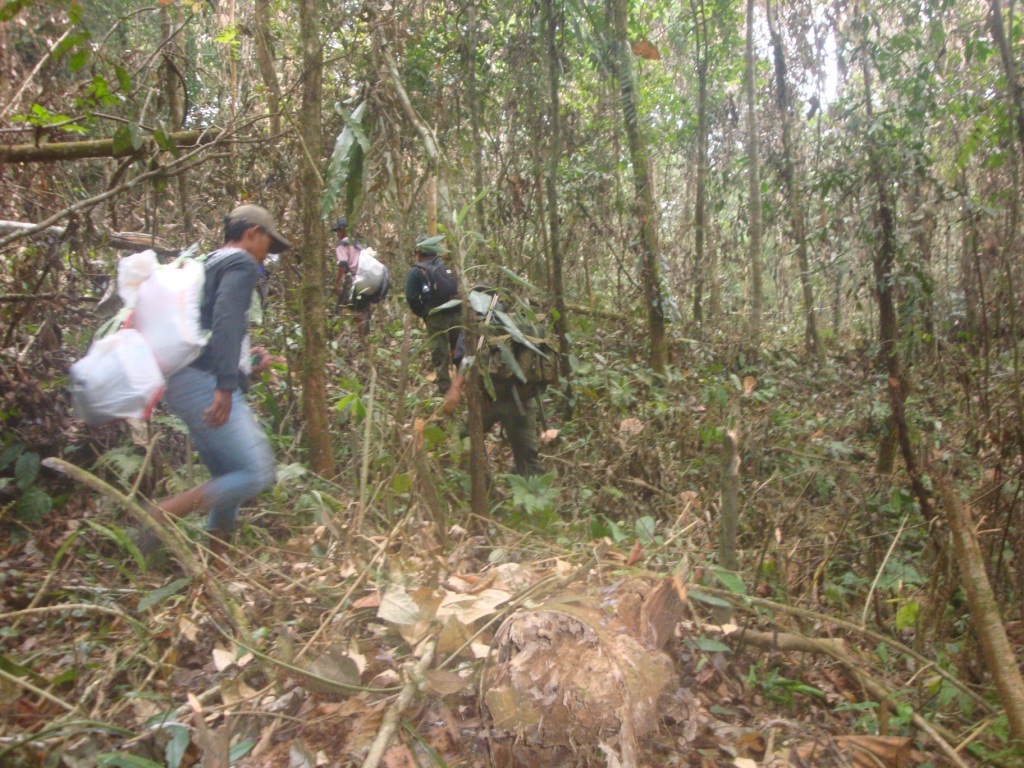 Taman Nasional Kerinci Seblat: Riwayatmu Ini - TFCA Sumatera