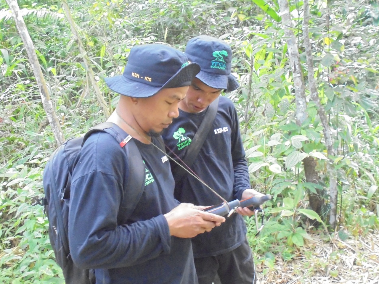 Hikayat Menjaga Hutan Nagari - TFCA Sumatera